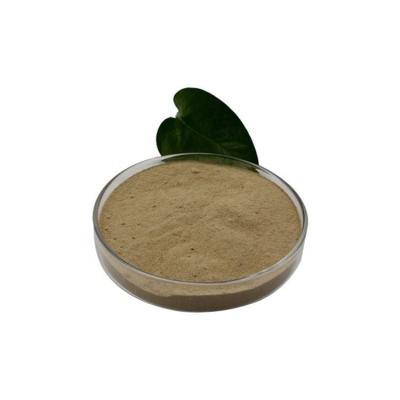 중국 10B -200billion 영양 사료 첨가물 미생물 공급 검정균 판매용