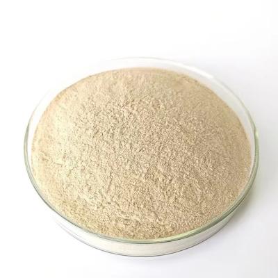 중국 돼지 소 성장을 위한 미황색 활동하지 않는 마른 양조용효모 판매용