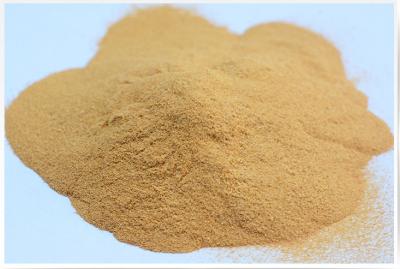 중국 고효율 미생물 파우더 검정균 물속 배양 먹이 공급 첨가제 판매용