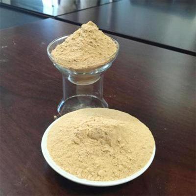 중국 EM 균 분말 미생물 사료 첨가물 OEM ODM을 장려하는 성장 판매용