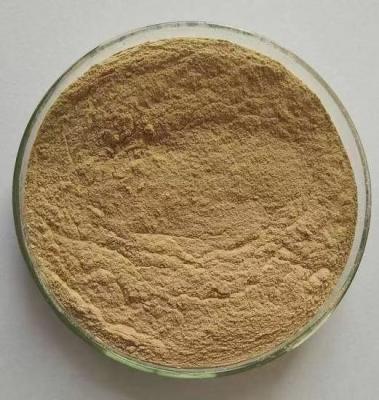 중국 갈색을 띤 영양 사료 첨가물 비 서브틸리스 프로바이오틱 10 킬로그램 / 배럴 판매용