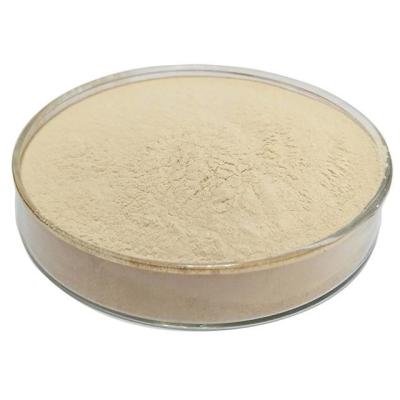 중국 미생물 발효과정을 위한 프로바이오틱스 검정균 파우더 500Billion Cfu/G 판매용