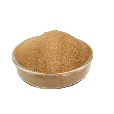 중국 미생물 발효과정 영양 사료 첨가물 검정균 1000억 판매용