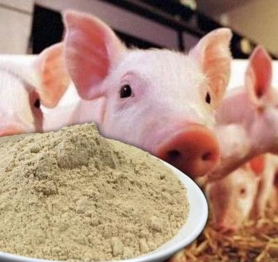 중국 소 돼지를 위한 반사 방지 닭 모이 첨가제 동물 사료 프로바이오틱스 판매용