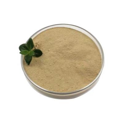 중국 미생물 발효과정을 위한 농업 등급 검정균 파우더 판매용