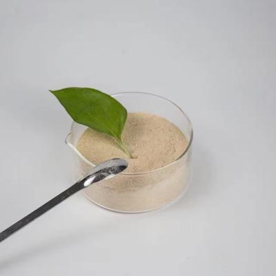 중국 가금을 위한 100% 자연적 영양 사료 첨가물 미생물 프로바이오틱스 판매용