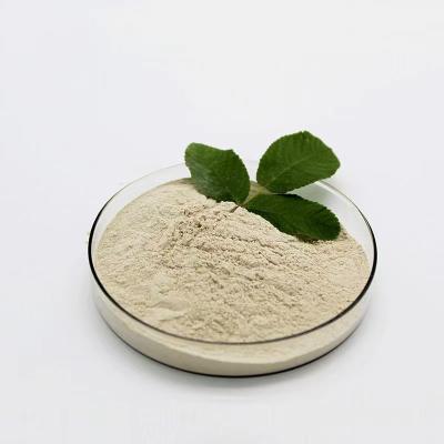 中国 成長促進者1トンの粉動物の成長率の供給の効率を高めるMOQ 2年の 販売のため