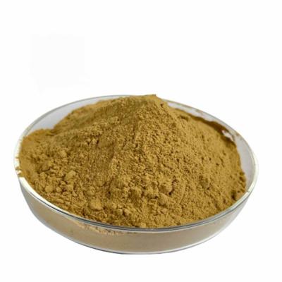 중국 성장 동물 사료 등급 브루어 효모 분말 55% 60% 콘텐츠를 장려하세요 판매용