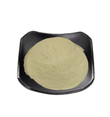 중국 누트리내셔널 이스트 익스트렉트 자연적 비어 효모 분말은 건강한 25 킬로그램 / 가방을 장려합니다 판매용