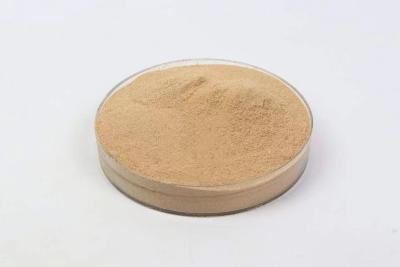 중국 뜨거운 살레 100% 순도 사료등급 동물 영양 효모 브루어 효모 엑스 분말 판매용