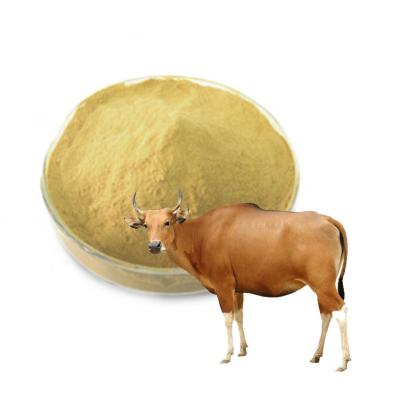 중국 가축 돼지 가금을 위한 사료등급 활동하지 않는 양조용 이스트 단백질 분말 판매용