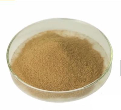 중국 동물 사료 효모 분말 고단백질 판매용