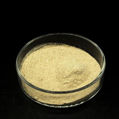 中国 生タンパク質 40%以上 転生動物用飼料添加物 包装ドラム 販売のため