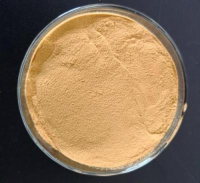 China Chitosan oligosaccharide supplement for body joint discomfort for sale