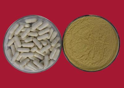 Cina Idrolisi solubile in acqua di sanità dell'oligosaccaride del chitosano dell'alimento del prodotto della chitina in vendita