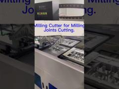 Gealigneerde V snijden de Machine van PCB Depanelizer met Acryldekking