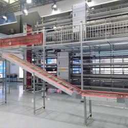 China Factory - Henan Keruijia International Trade Co., Ltd.