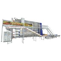 Quality H Type 20000 Capacity Battery Layer Egg Chicken Cage with Automatic Cleaning for sale