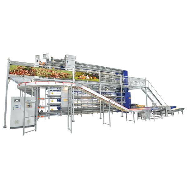 Quality H Type 20000 Capacity Battery Layer Egg Chicken Cage with Automatic Cleaning Belt and Egg Collection System and Feeding System for sale