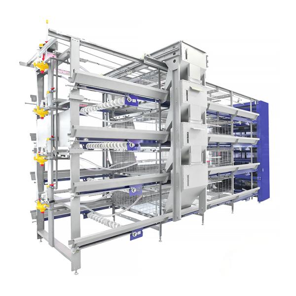 Quality Broiler Cage Poultry Cage Battery Cage Poultry Equipment Chain Type Harvesting  for sale