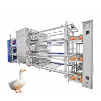 Quality Fully Automatic H-Type Chicken Cage with Steel Construction in New Condition for for sale