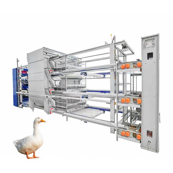 Quality Fully Automatic H-Type Chicken Cage with Steel Construction in New Condition for Poultry Farming for sale