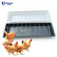 Quality Chicken Feeder Bucket, Floor Ground Poultry Feeder for Chickens Ducks Geese for sale