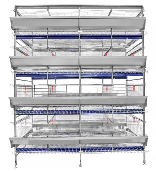 Quality High Efficiency Layers Chicken Hen Cages Multi Tier Automatic Cage Free Aviary Systems for Better Animal Welfare H Type for sale