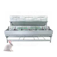 Quality New A-Type rabbit Cage Poultry Cage Manufacturing Hot Galvanized for sale