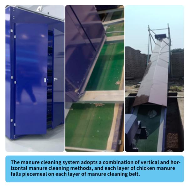 Quality New A-Type rabbit Cage Poultry Cage Manufacturing Hot Galvanized for sale