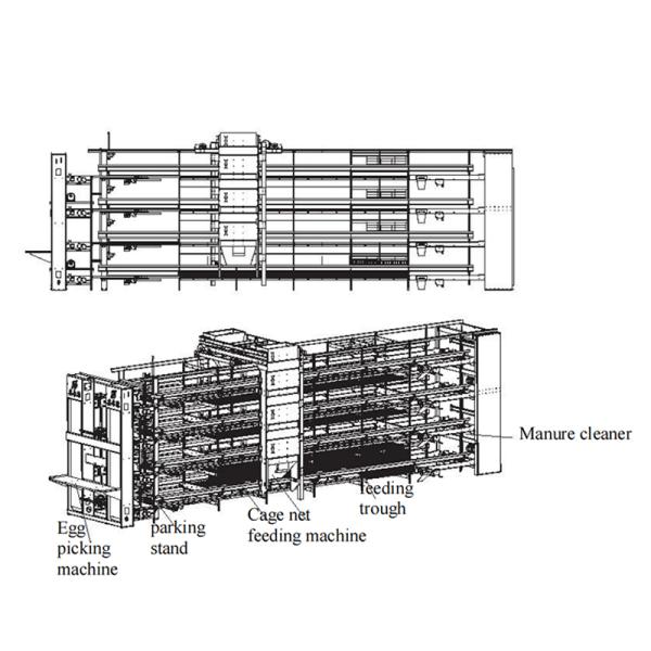 Quality H Type Automatic System Chicken Cage layer Poultry Farming Equipment for sale
