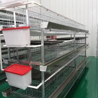 Quality Poultry Farm 4 Tiers 128 Birds Animal Battery Layer Chicken Cages for sale