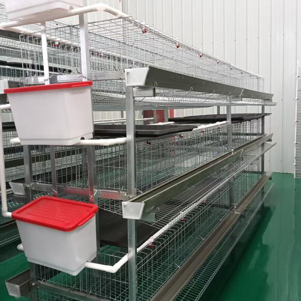 Quality Poultry Farm 4 Tiers 128 Birds Animal Battery Layer Chicken Cages
 for sale