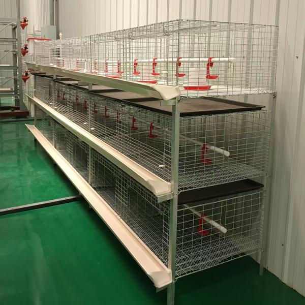 Quality Galvanized 120 160 Birds Poultry Farming 4 Tiers Chicken Breeding Animal Cage for Sale
 for sale
