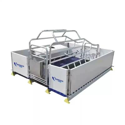 China European Type Pig Farm Farrowing Pen Cage Double Size Sow Bed With Hot Galvanized Steel Pipe and PVC Wall for sale