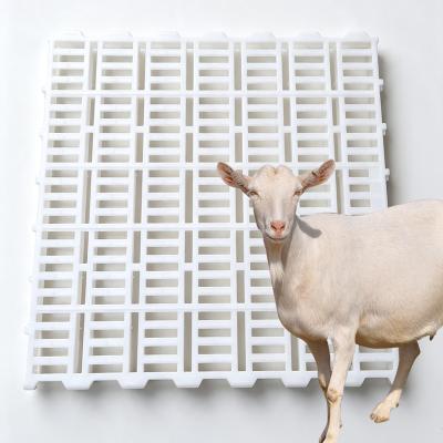 China Farm Plastic Sheep Slatted Floor Durable Plastic Slat Panel Sheep Goat Pen Flooring Equipment for sale