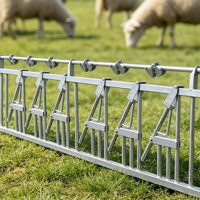 China Cattle Head Locking System Cow Management Galvanized Front Feeding Rail Gate for sale