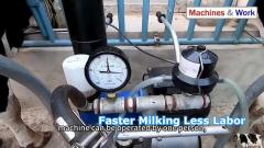 Hot Selling Milking Machine for Cows