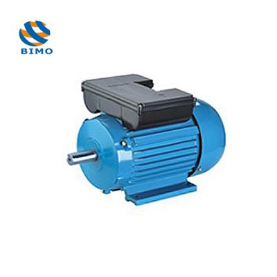 Cina \YL100L2-4 3kw 4 polo monofase AC motore a induzione basso rumore in vendita