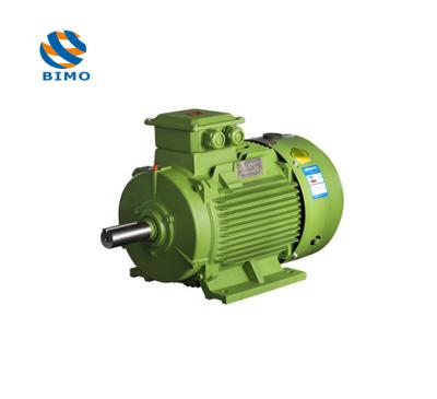 Cina YE4 IE4 Motori elettrici a 1000 giri al minuto 1500 giri al giorno 3000 giri al giorno Motori a induzione a cambio a tre fasi in vendita