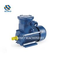 China 55kW Three Phase Flameproof Induction Motor - Ex d IIC T4 Gb ATEX Certified - 380V/660V AC Asynchronous for sale