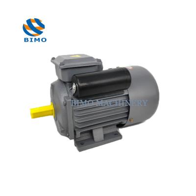 China BM Single Phase Motor 220V 0.75kw 1.1kw 1.5kw 1HP Pure Copper Electric Motor For Water Pumps for sale