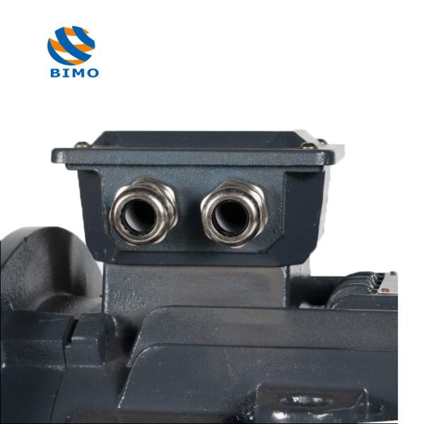 Quality YE4 YE5 IE4 IE5 Asynchronous Electric Induction Motor B5 20kw AC Motor For Water for sale