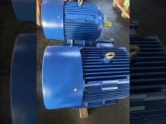 Three Phase Motor 0.17kW~160kW IP44 IP54 IP55 380V Universal Electric Motor