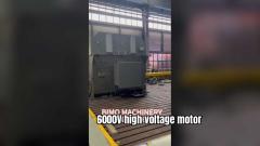 6000V 10000V 355kw 600kw  800kw high voltage motor