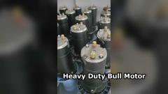 PMDC 90V 1HP TEFC Permanent Magnet DC Motor NEMA 56C Frame 1750RPM / 1800RPM for Mechanical Bull Rid