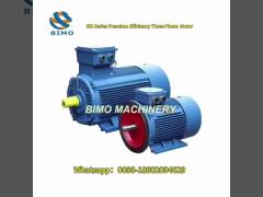 IE3 Series Premium Efficiency Three Phase Asynchronous Motor