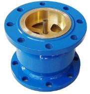 China Multi Single Disc Door Flanged PN10 Stainless Swing Check Valve for sale
