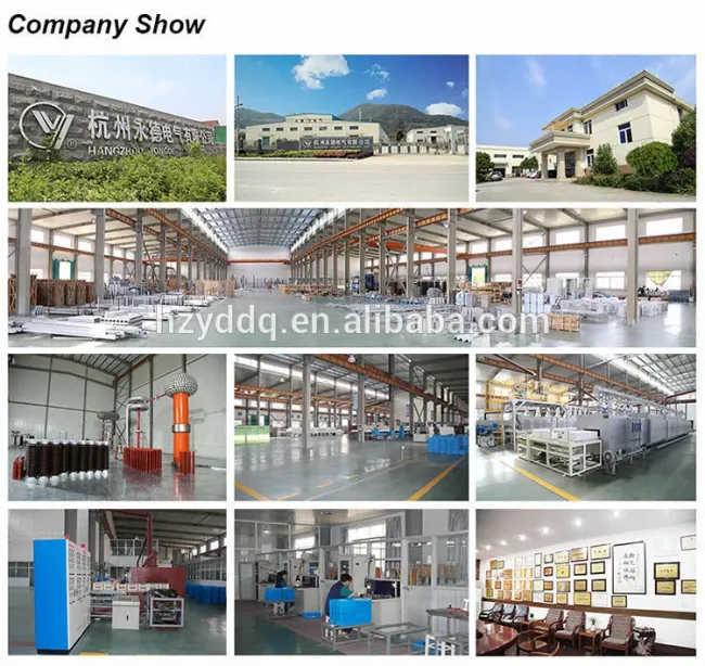 Composite Arrestor 10ka, 36kv for Substation - Packaging View