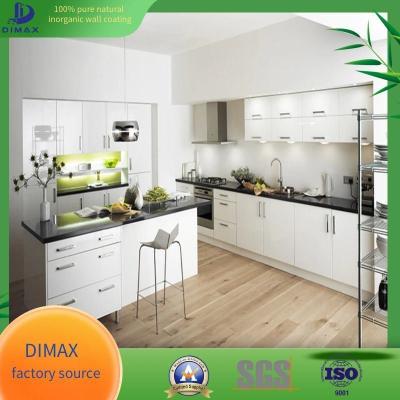 Cina Customizable Inorganic Wall Paint with Good Permeability and High Scrubbing Resistance in vendita